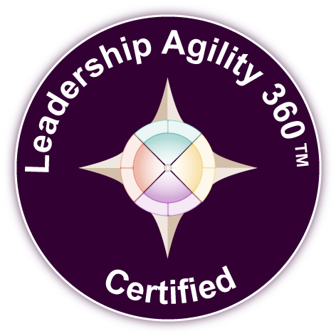 Executive Coaching and Leadership Development – Anne Litwin